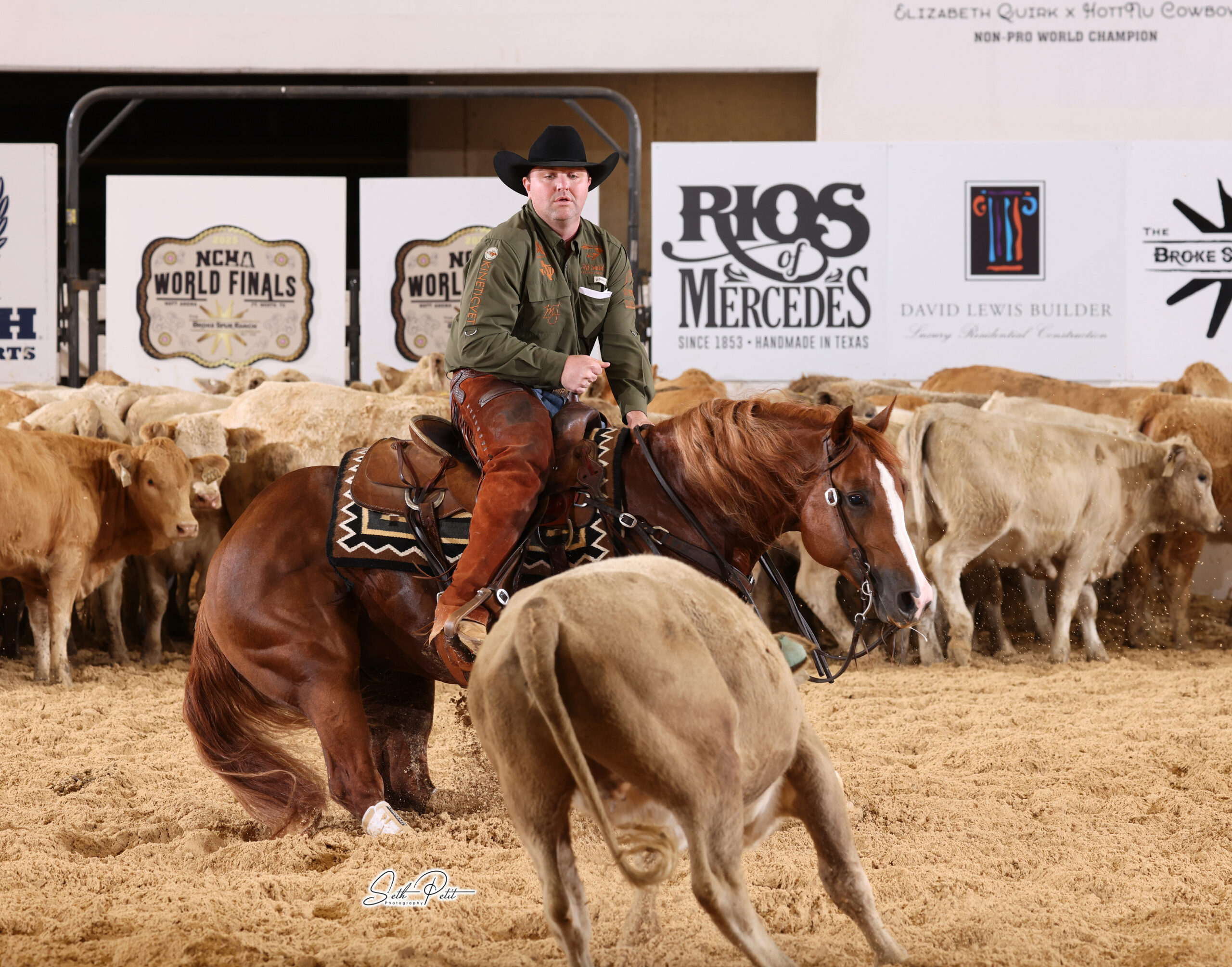 Tried To Tell Ya - 6666 Stallions