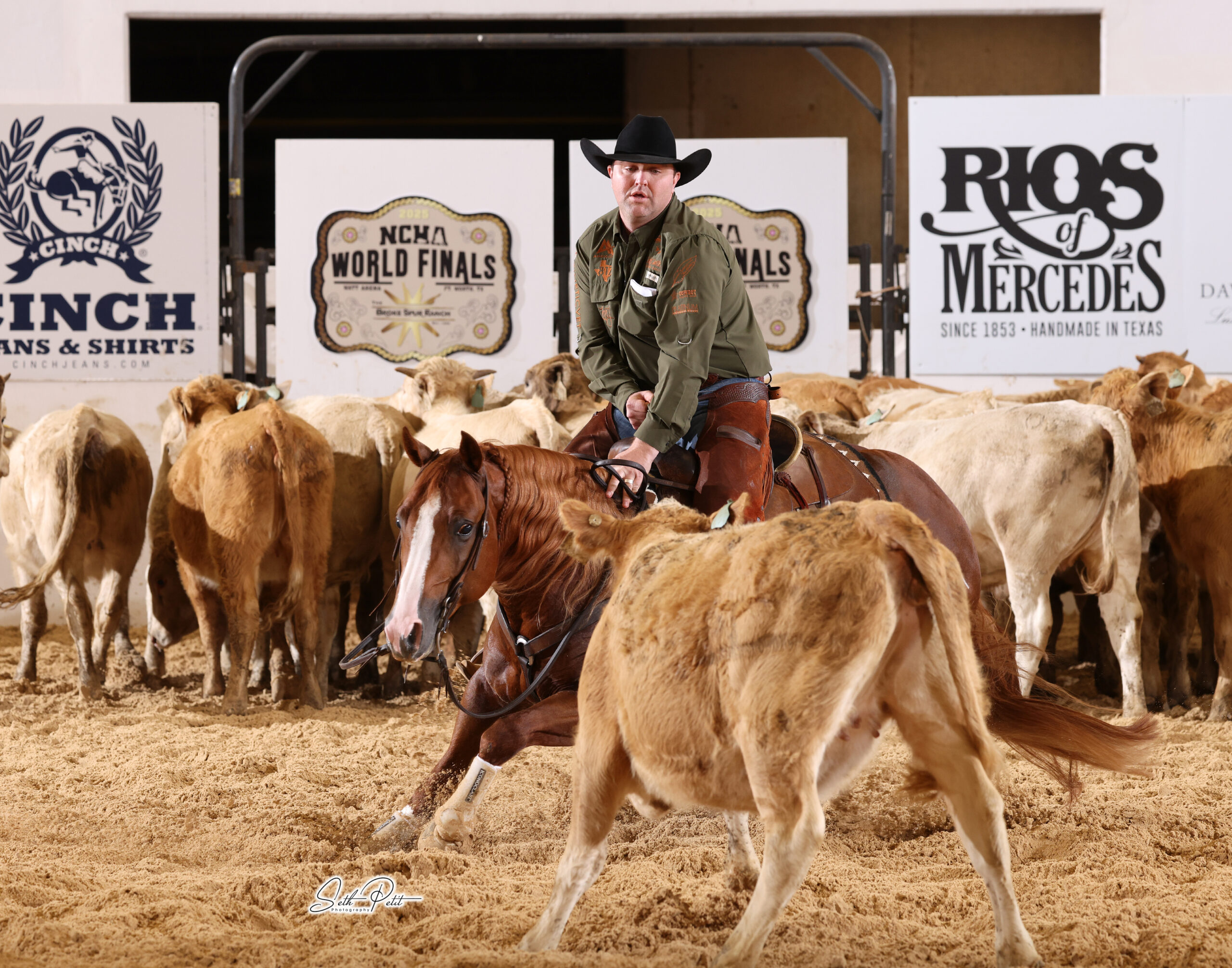 Tried To Tell Ya - 6666 Stallions