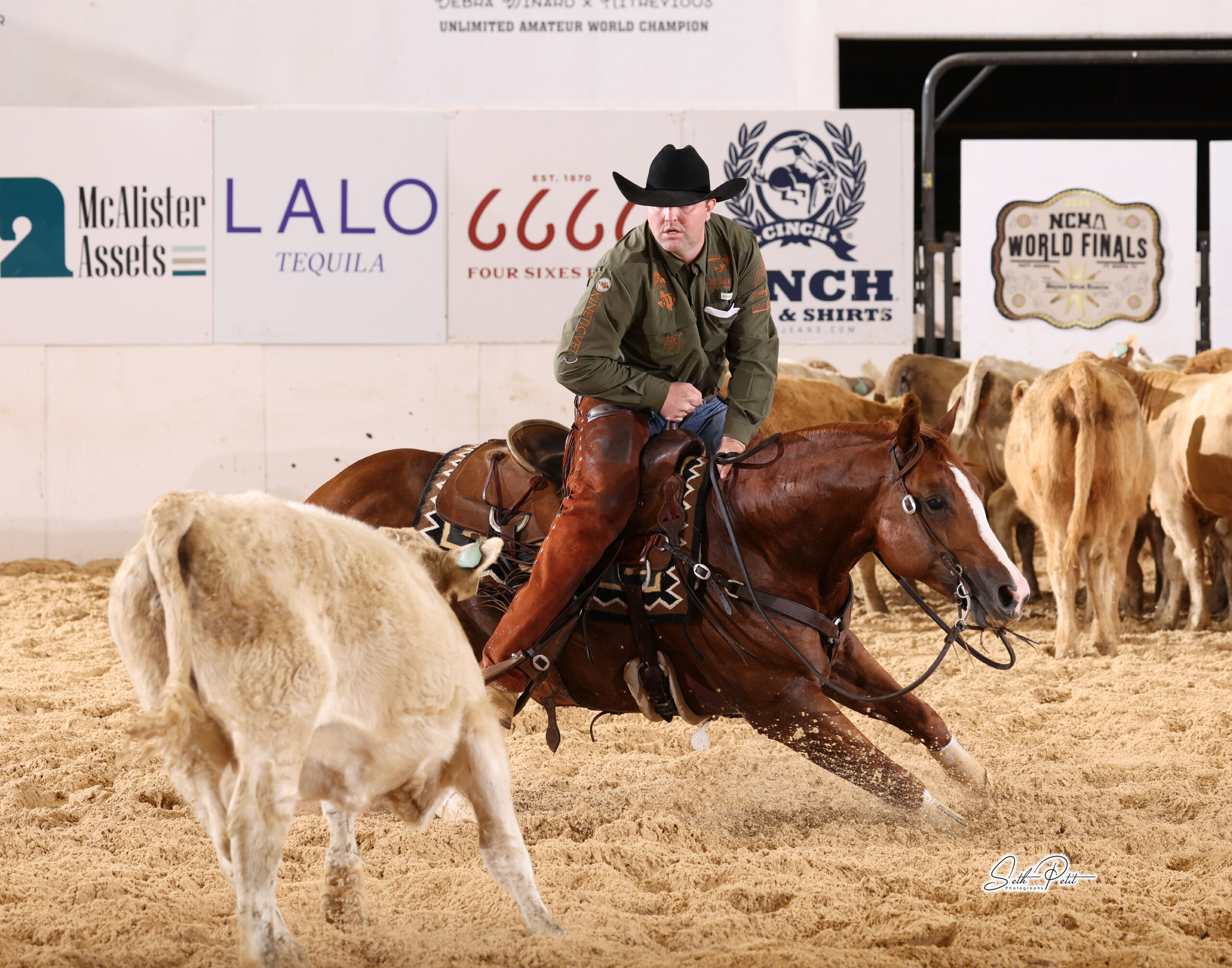 Tried To Tell Ya - 6666 Stallions