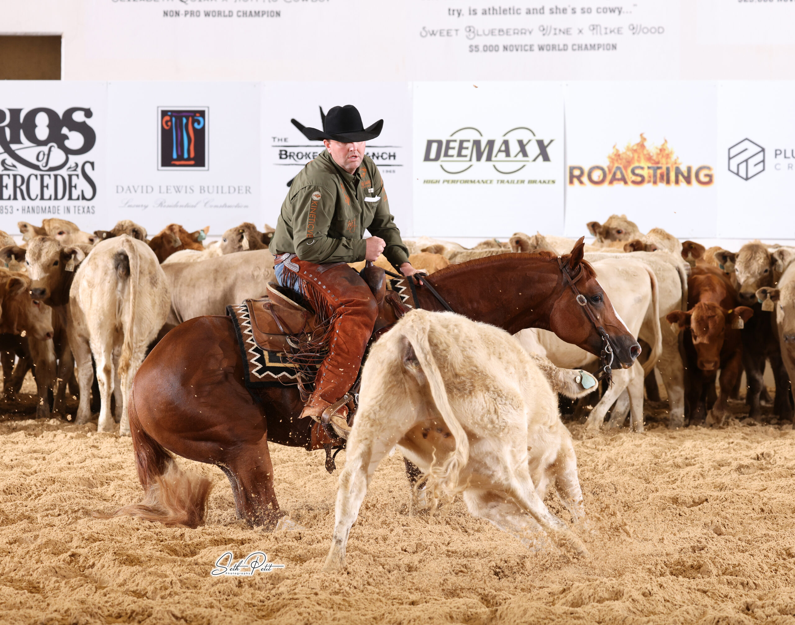 Tried To Tell Ya - 6666 Stallions